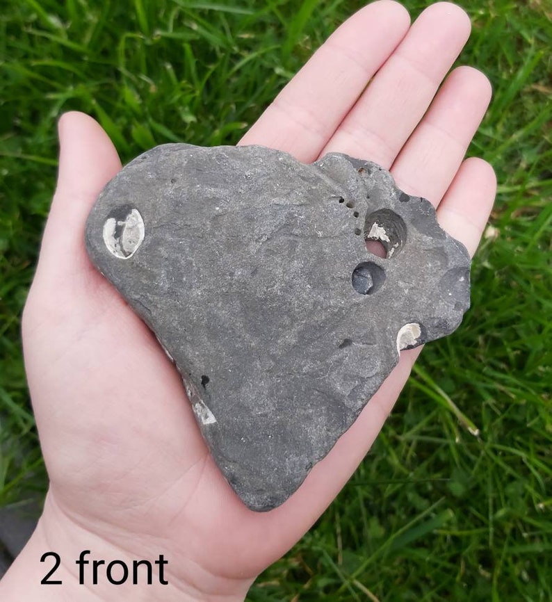 1 5 EXTRA LARGE Irish Hag Stones Choose Your Own Holey | Etsy