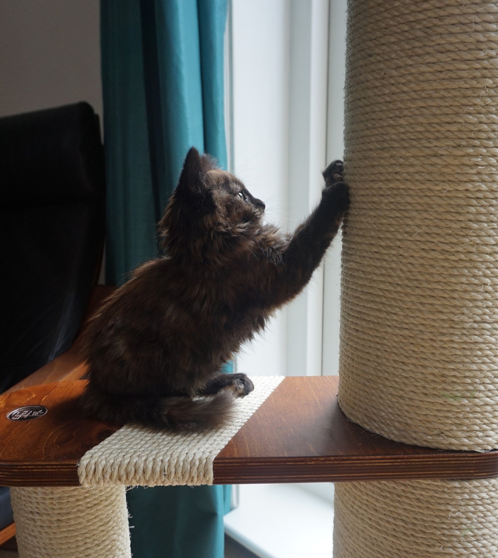 Cat Tree, Cat Tower, Modern Cat Tree, Unique Sisal Rope Inlay, Cat ...