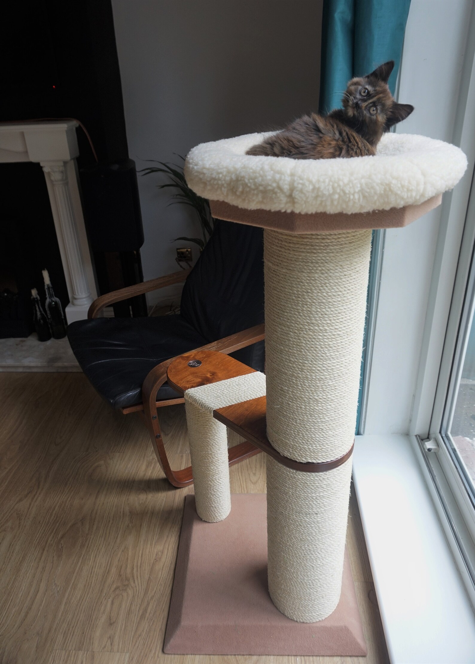 Cat Tree Cat Tower Modern Cat Tree Unique Sisal Rope Inlay - Etsy