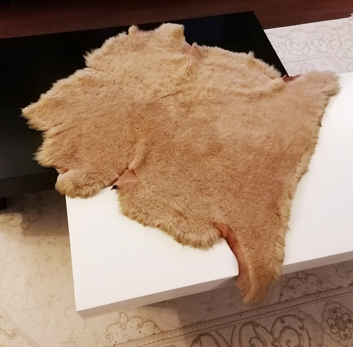 Genuine Camel Tan Color Sheepskin Rug Throw 100% Natural | Etsy