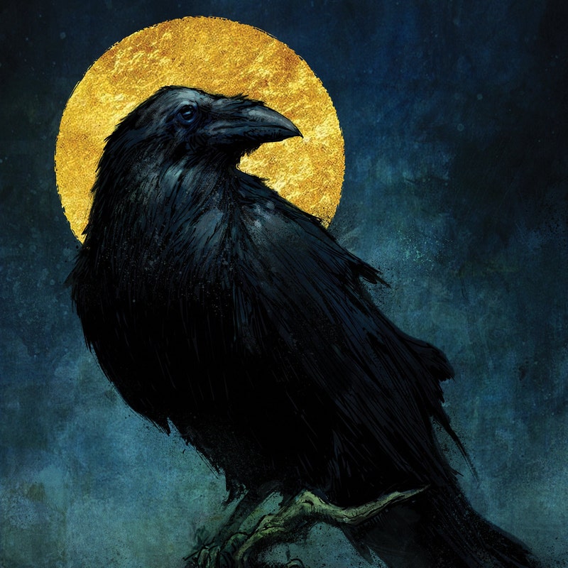Raven Art - Etsy