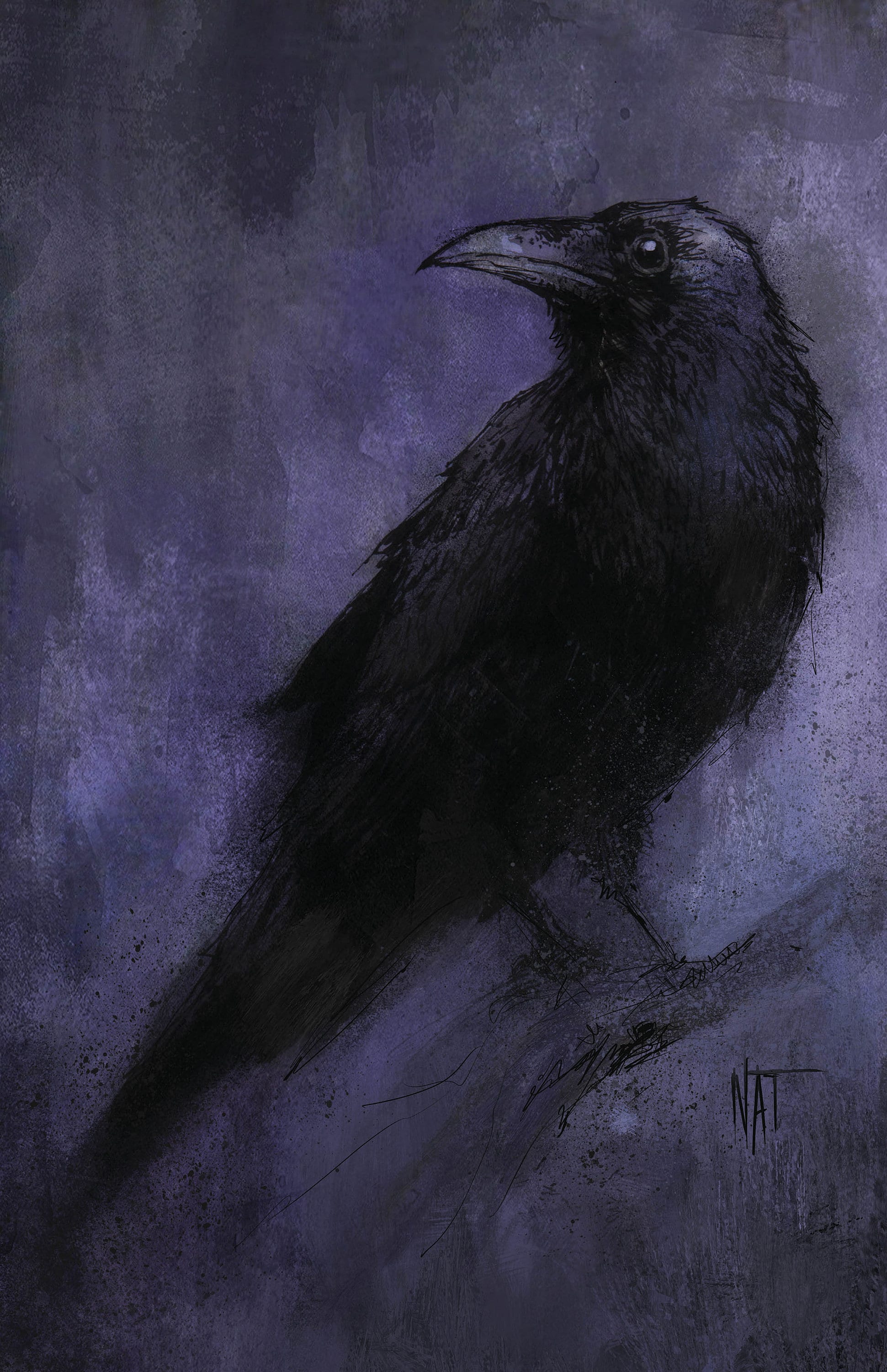 Gothic Crow Drawings