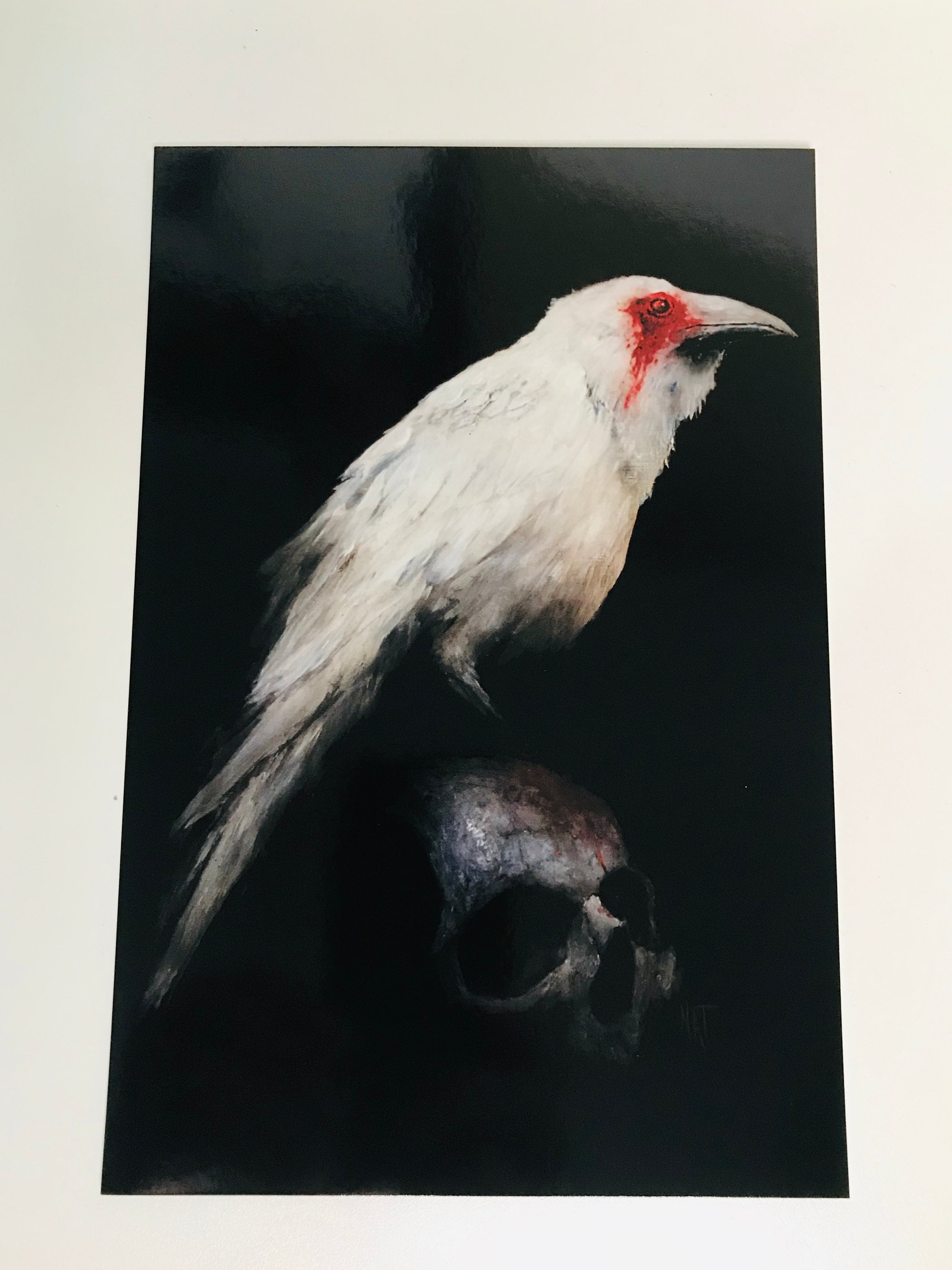 6 by 9 Inch Art Print Nat Jones White Raven Raven Print | Etsy