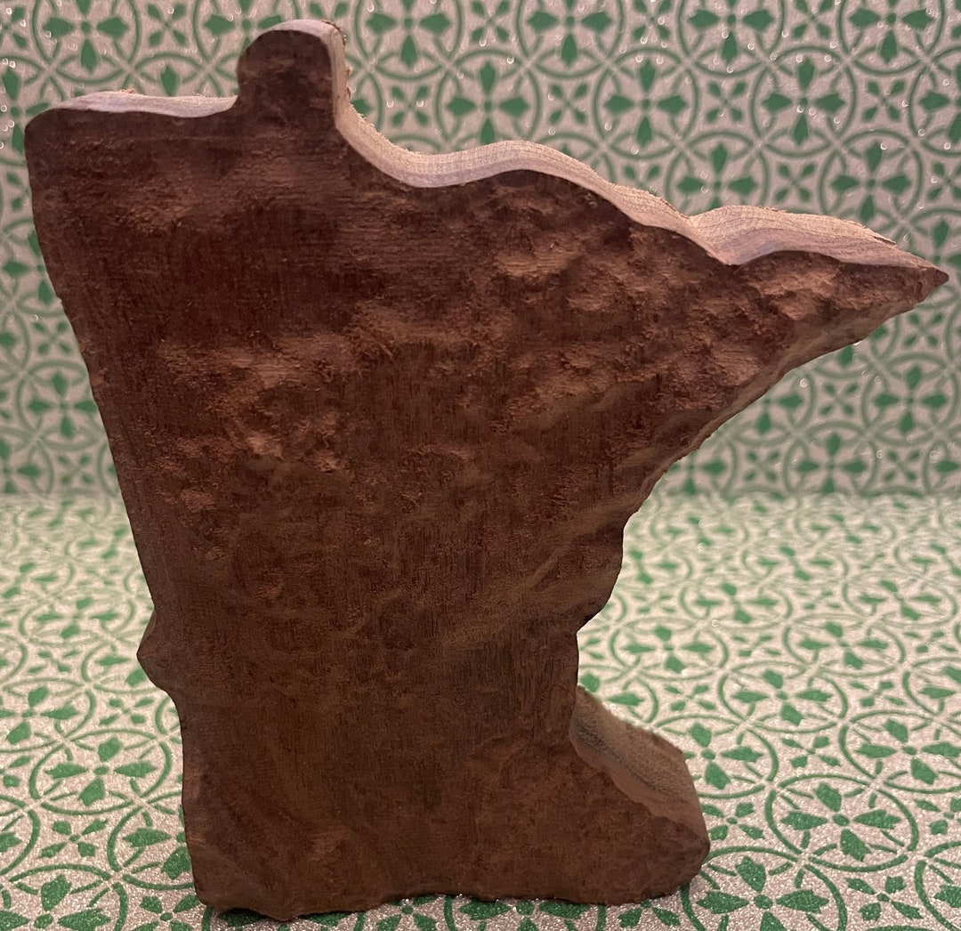 Minnesota Terrain Map - Etsy