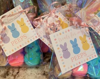 Easter Printable Cookie Card 3.5 X 5 treats for My Peeps Easter Cookie ...