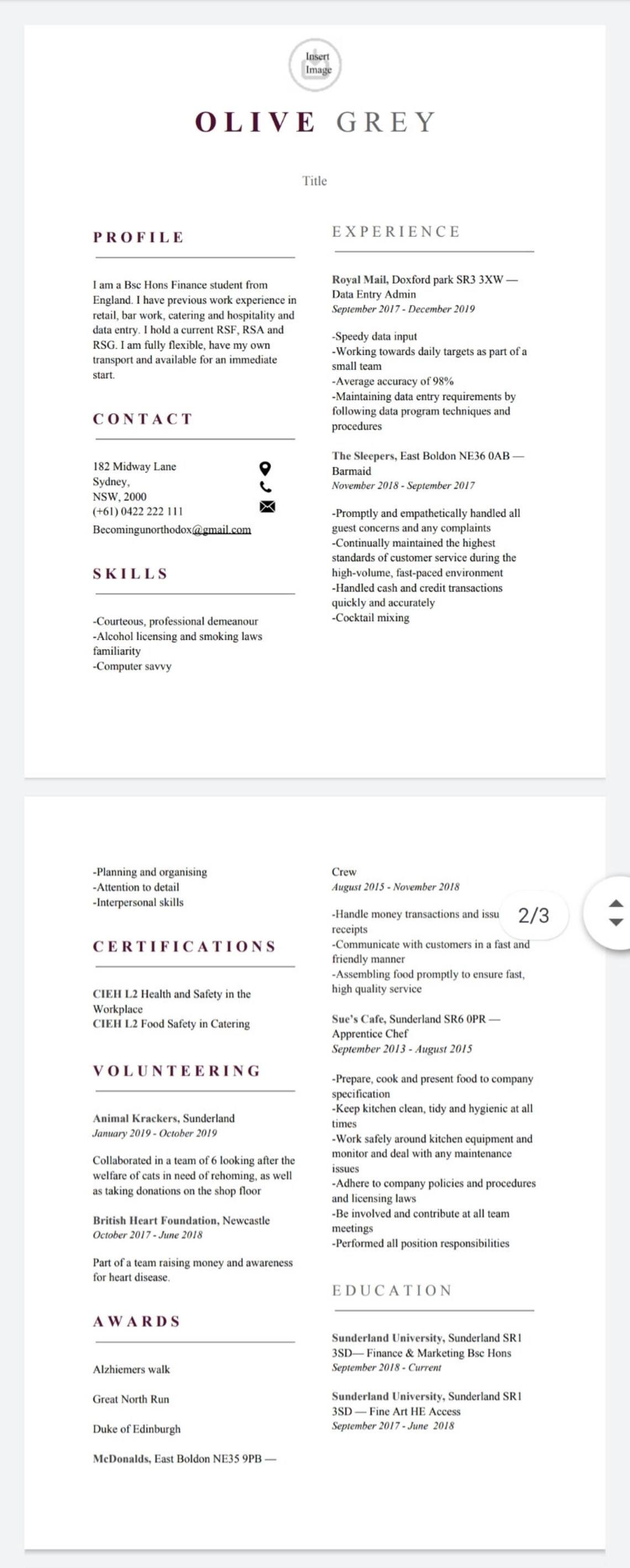 Classic Resume Template - Etsy
