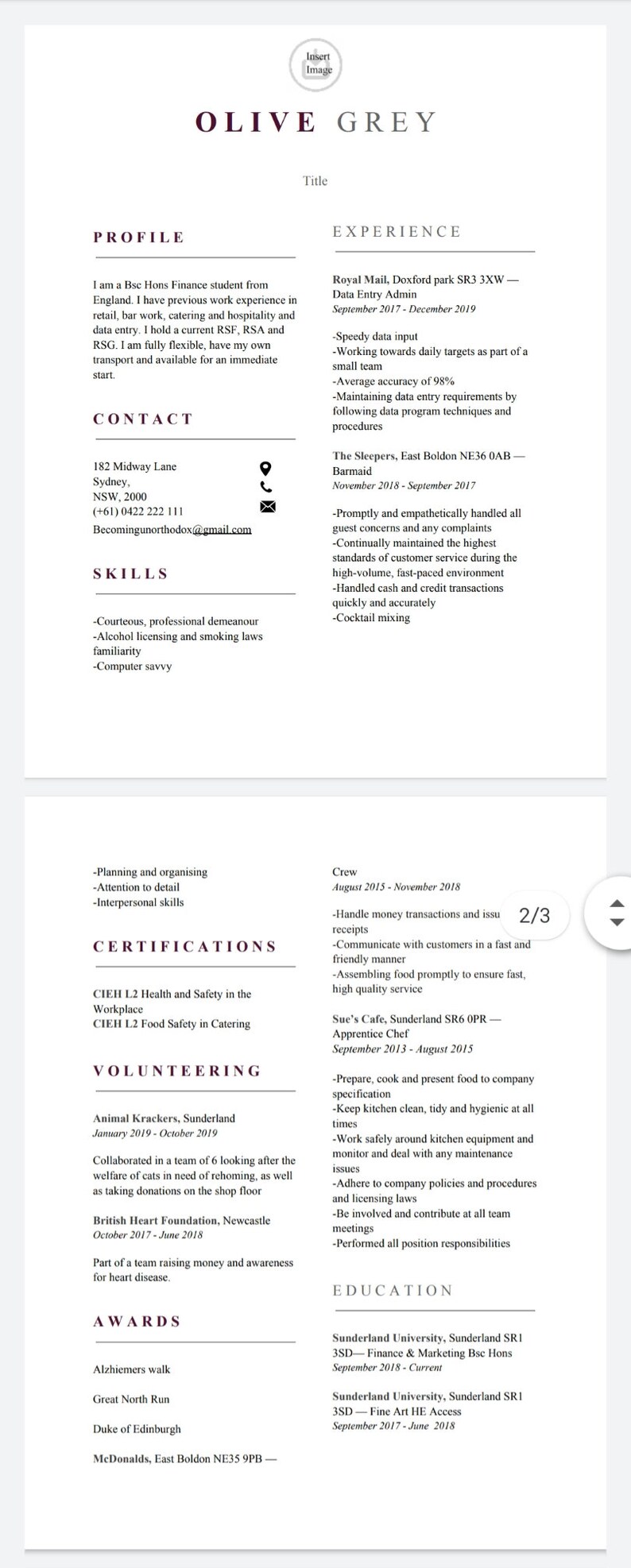 Classic Resume Template - Etsy