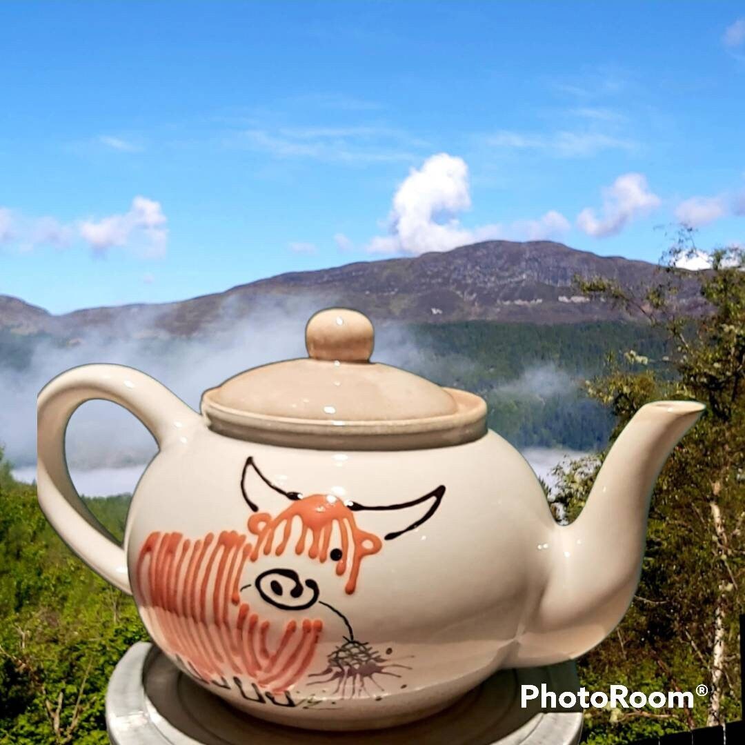 Hand Painted Highland Cow Teapot: Scottish Farmhouse Kitchen Decor ...
