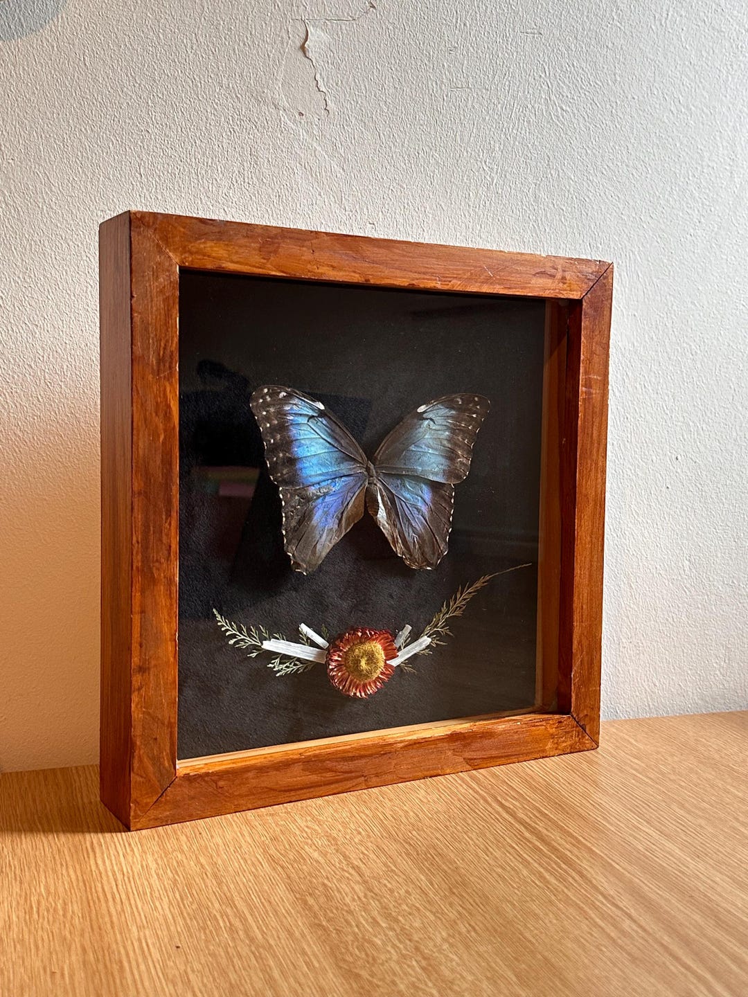 Blue Morpho Butterfly Frame With Dried Flowers & Selenite, Real ...