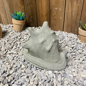 Conch Seashell, Sea Shell Concrete Statue, Indoor/ Outdoor Statuary - Etsy