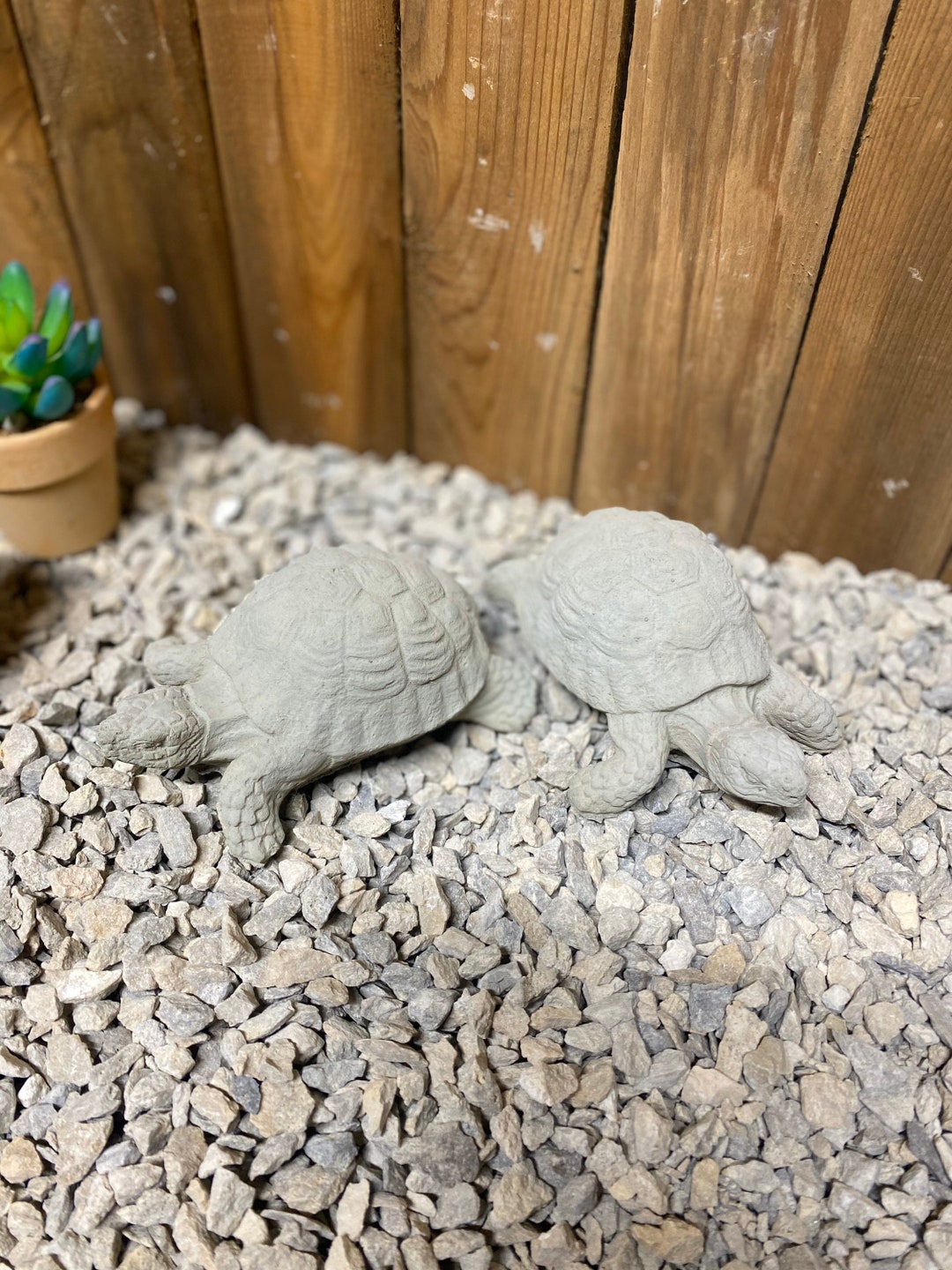 2 Small Sea Turtles Concrete Statues, Indoor / Outdoor Home Decor - Etsy