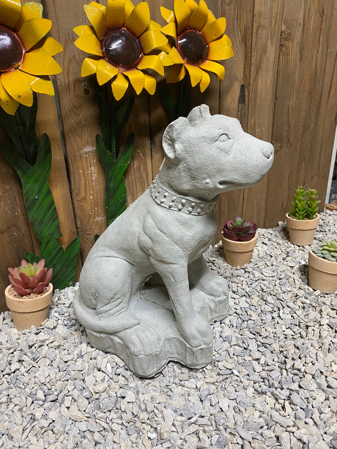 Pit Bull Terrier Concrete Statue Indoor/ Outdoor Home Decor | Etsy