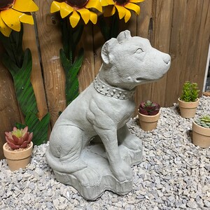 Pit Bull Terrier Concrete Statue Indoor/ Outdoor Home Decor - Etsy
