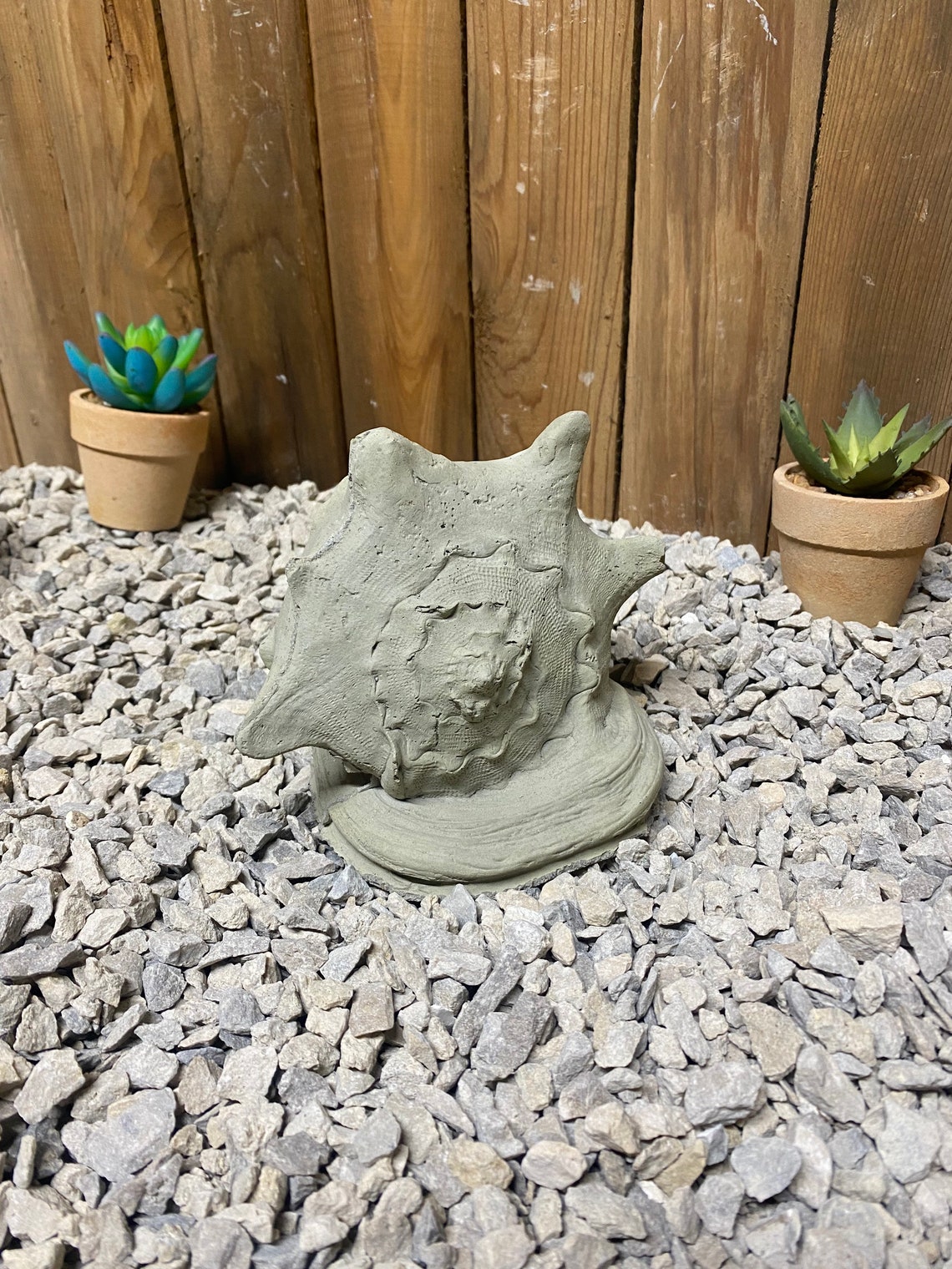 Conch Seashell Sea Shell Concrete Statue Indoor/ Outdoor - Etsy