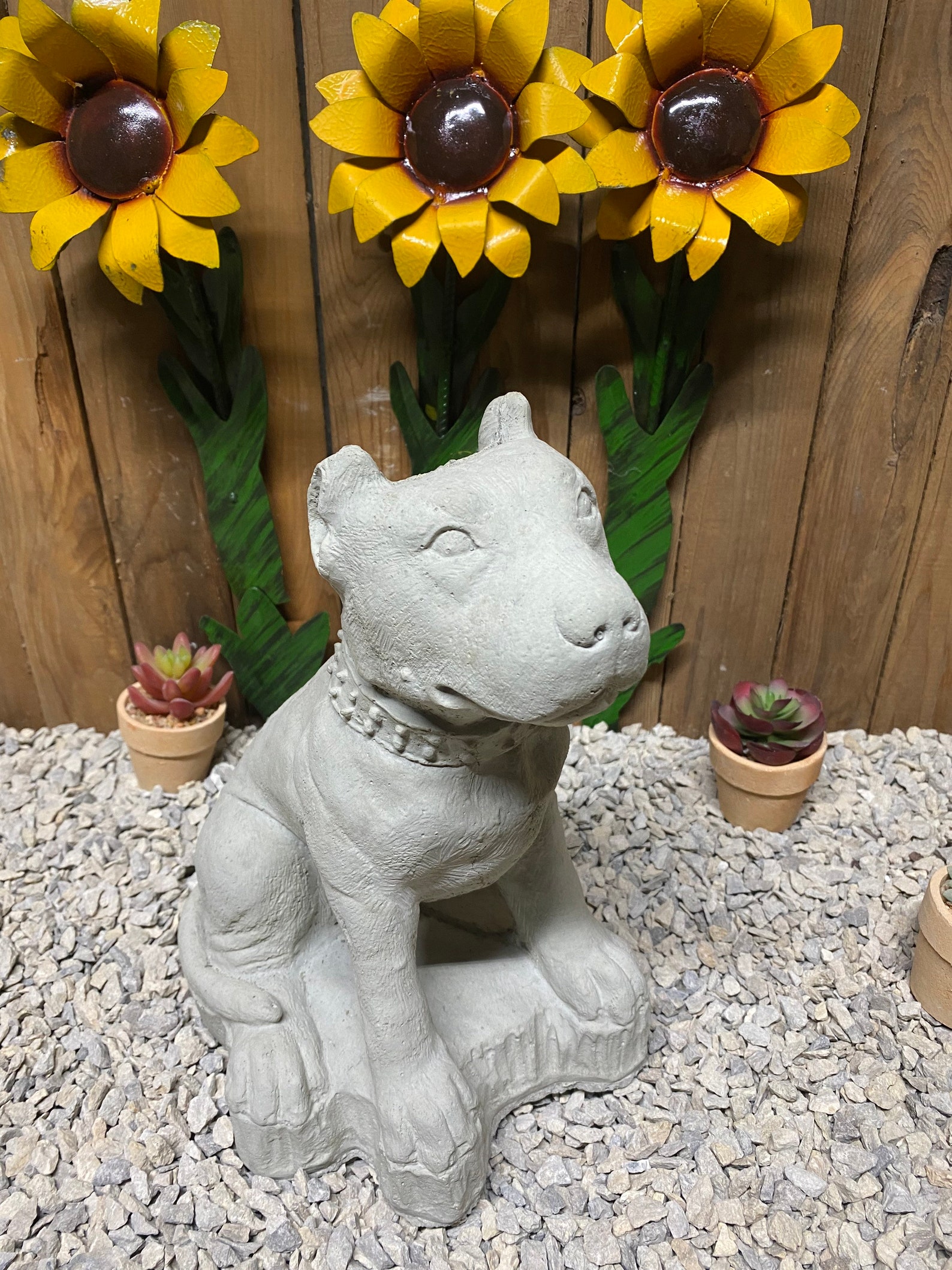 Pit Bull Terrier Concrete Statue Indoor/ Outdoor Home Decor | Etsy