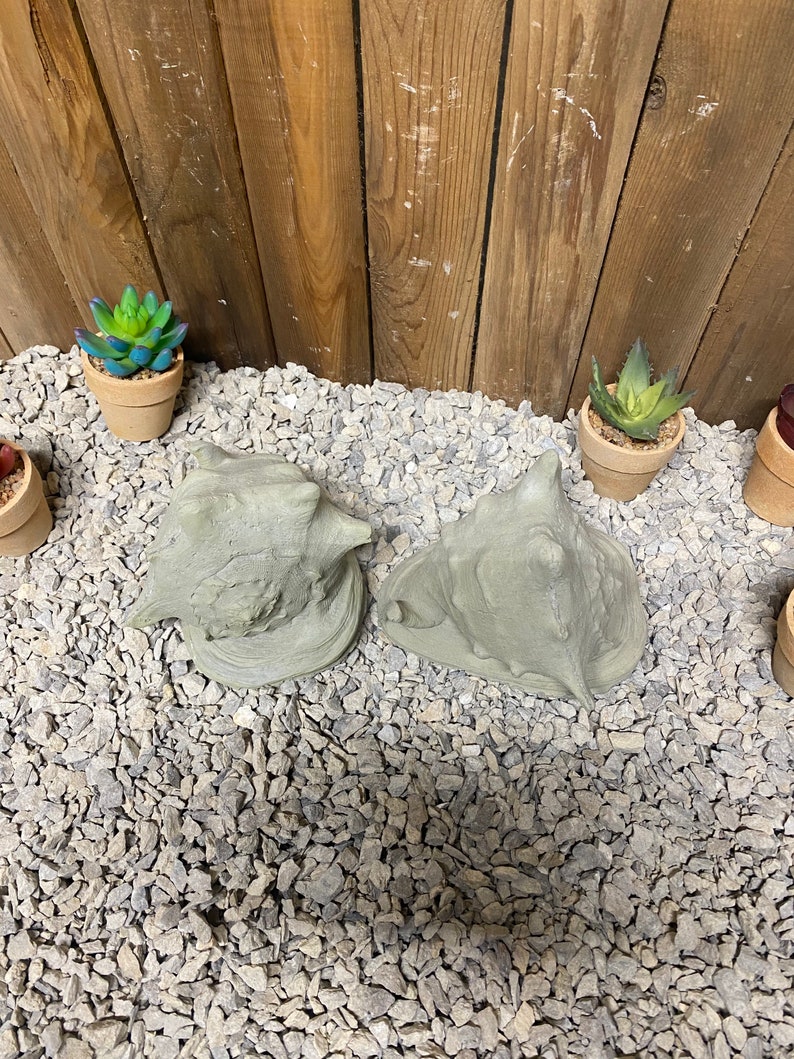 Conch Seashell, Sea Shell Concrete Statue, Indoor/ Outdoor Statuary - Etsy