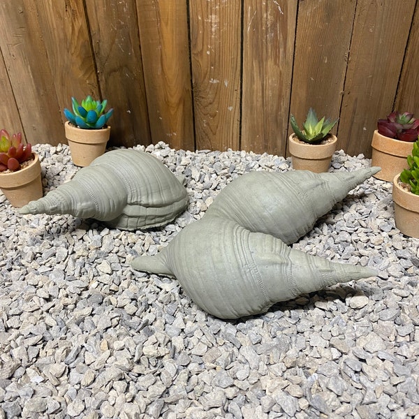 Sea Shell Planter - Etsy