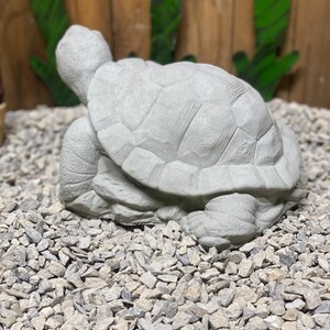 Large Turtle on Rock Concrete Statue - Etsy