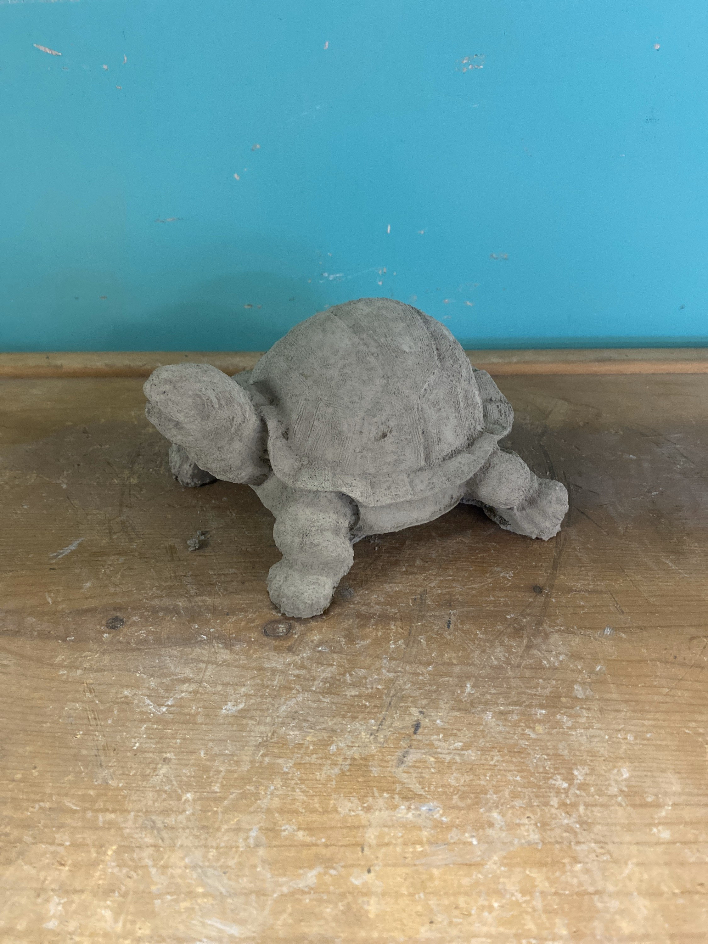 Small Concrete Turtle Statue | Etsy