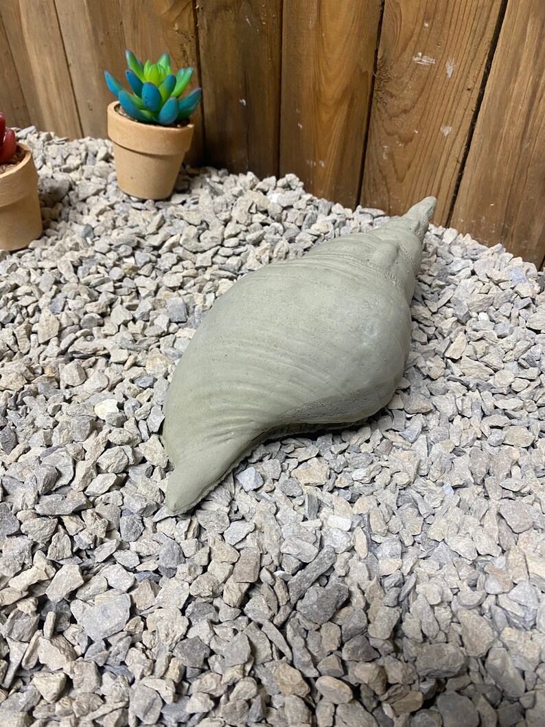 2 Seashells Concrete Statue Conch and Spiral Shell Indoor/ | Etsy