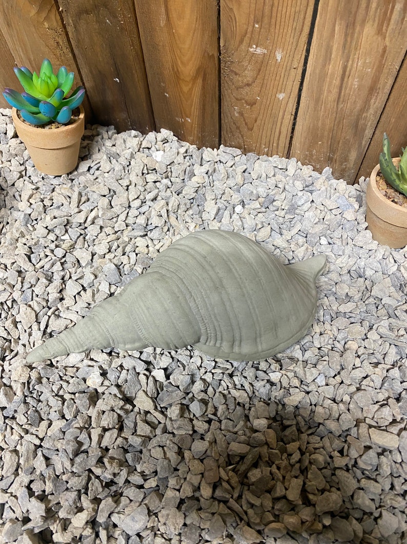 2 Seashells Concrete Statue Conch and Spiral Shell Indoor/ - Etsy