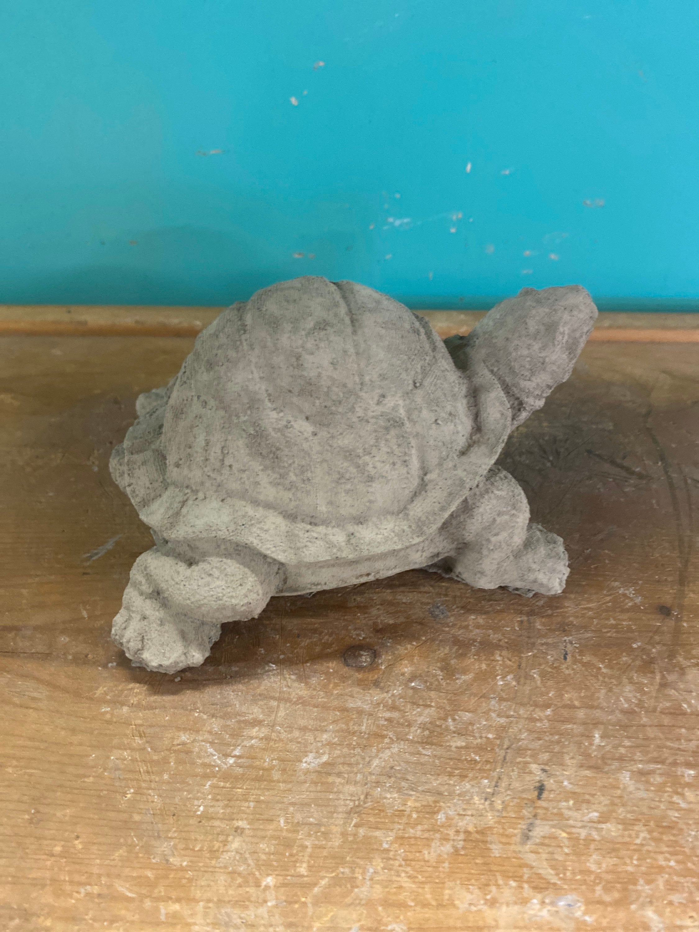 Small concrete turtle statue