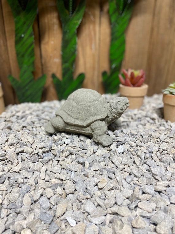 Small Concrete Turtle Statue - Etsy