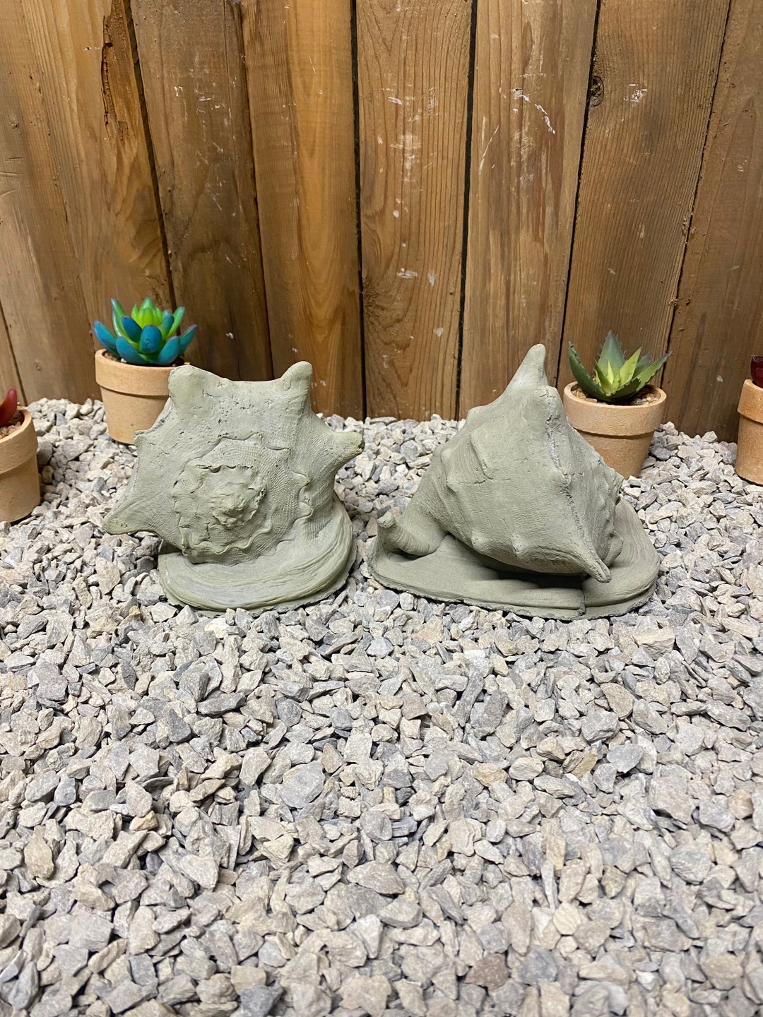 Conch Seashell, Sea Shell Concrete Statue, Indoor/ Outdoor Statuary - Etsy