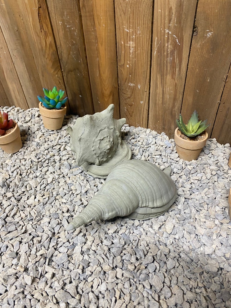2 Seashells Concrete Statue Conch and Spiral Shell Indoor/ - Etsy