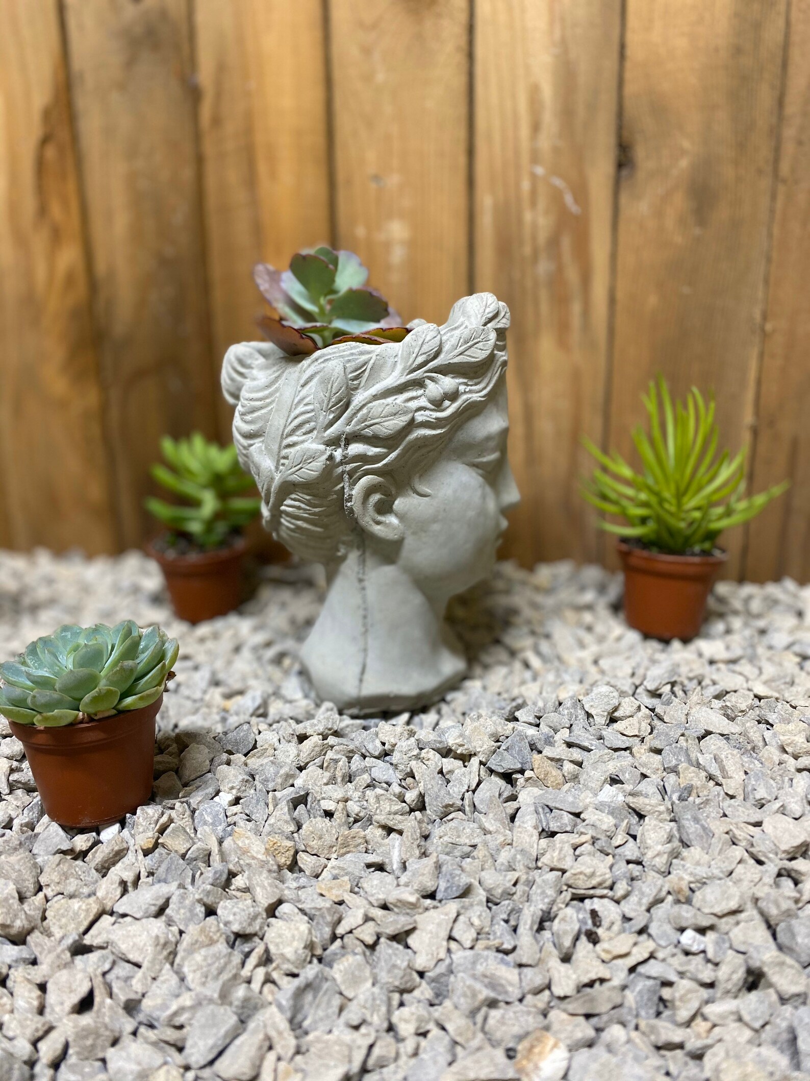 Small Concrete Lady Head Planter Made in the USA | Etsy