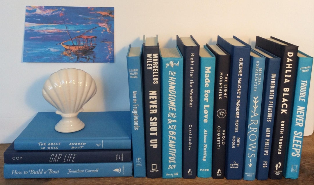 Blue Book Decor Bundle - XL Set Beach Bookcase Staging - Shades of ...