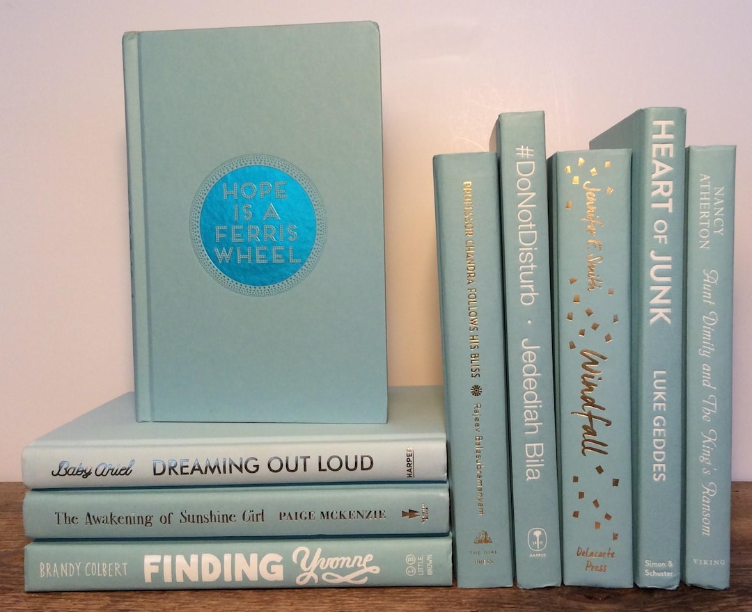Baby Blue Book Decor Set: Modern Farmhouse Shelf Staging, 9 Books - Etsy