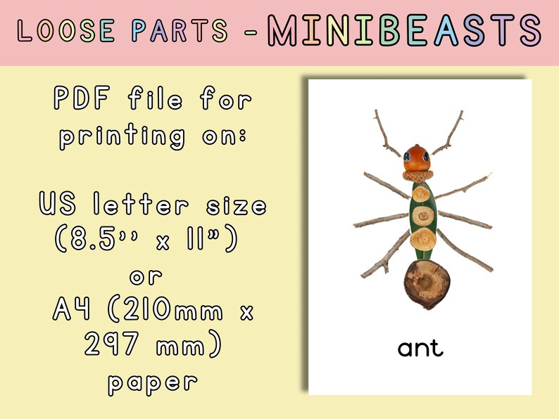 Loose Parts Mini Beast Activity | Insect Nature Card | Montessori ...