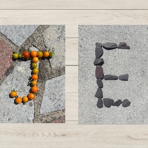 Nature Alphabet Cards Printable Digital Download EYFS Resource ...