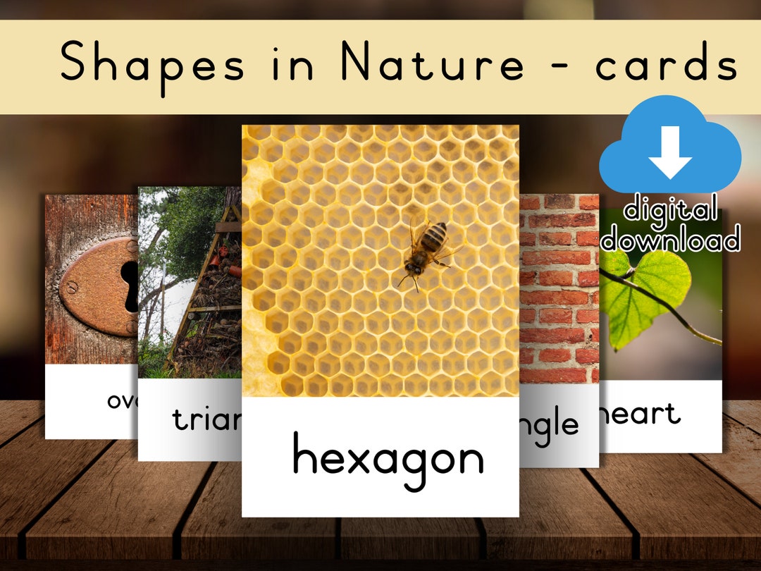 Shapes in Nature Cards Printable Digital Download Pre-k Resource ...
