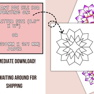 Waldorf Times Tables Artistic Geometry Steiner Home School Classroom ...