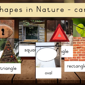 Shapes in Nature Cards Printable Digital Download Pre-k Resource ...