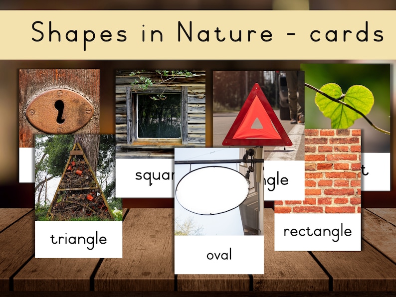 Shapes in Nature Cards Printable Digital Download Pre-k - Etsy Australia