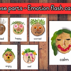 Loose Parts Play Emotions Activity, Feelings Flashcard, Reggio Inspired ...