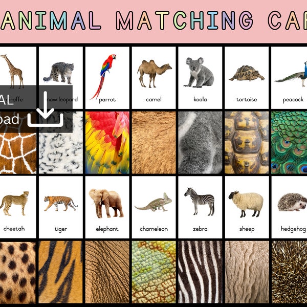 Zoo Animal Pattern - Etsy