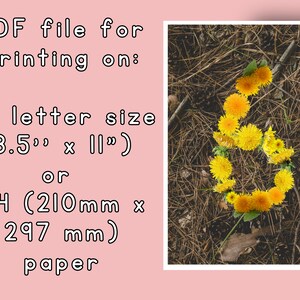 Nature Number Cards | Loose Parts Cards | Number Recognition ...