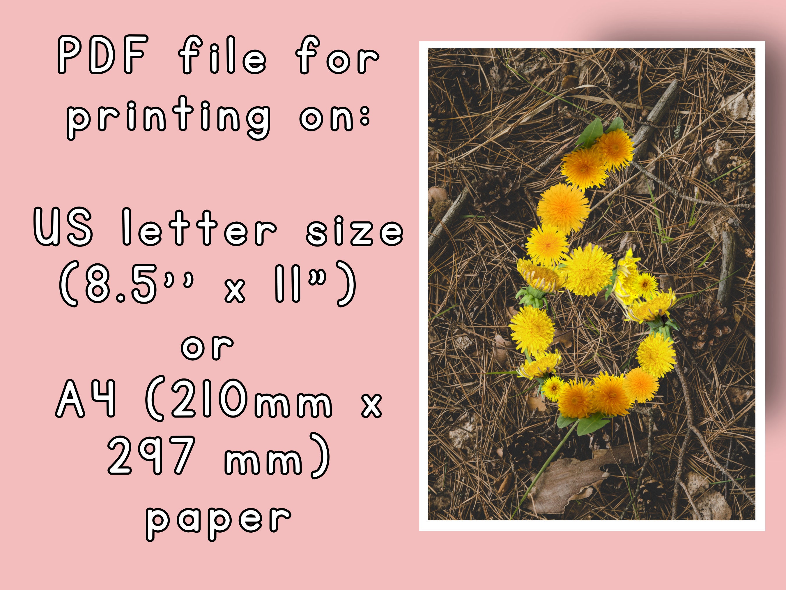 Nature Number Cards | Loose Parts Cards | Number Recognition ...