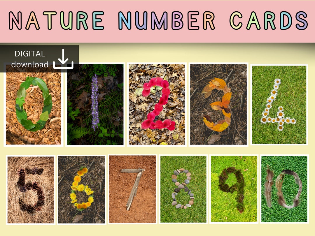Nature Number Cards | Loose Parts Cards | Number Recognition ...