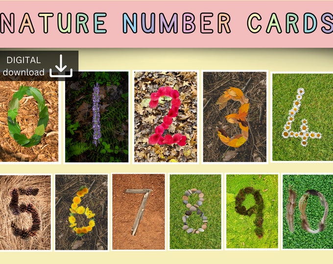 Number Cards 1-12 With Natural Objects for Counting, Polaroid Style ...