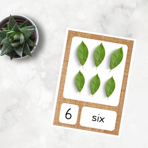 Number Cards Loose Parts Cards 0-10 Printable Digital Download EYFS ...