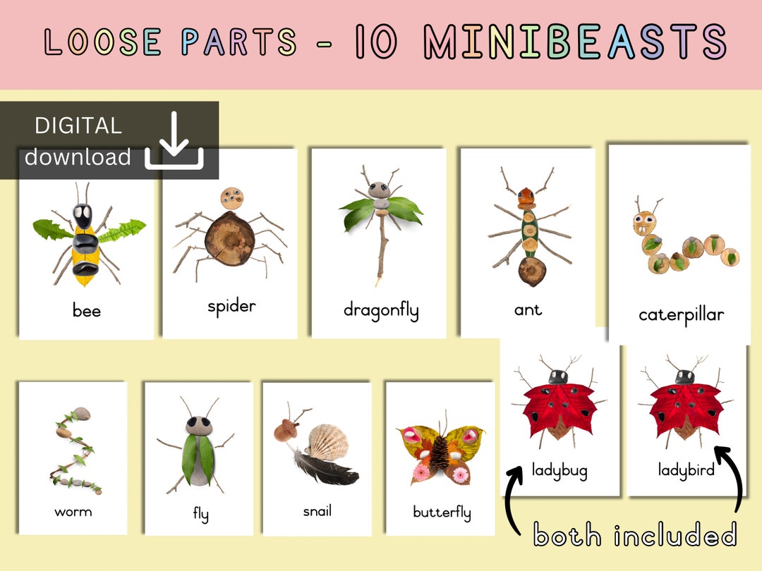 Loose Parts Mini Beast Activity | Insect Nature Card | Montessori ...