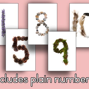 Nature Number Cards | Loose Parts Cards | Number Recognition ...