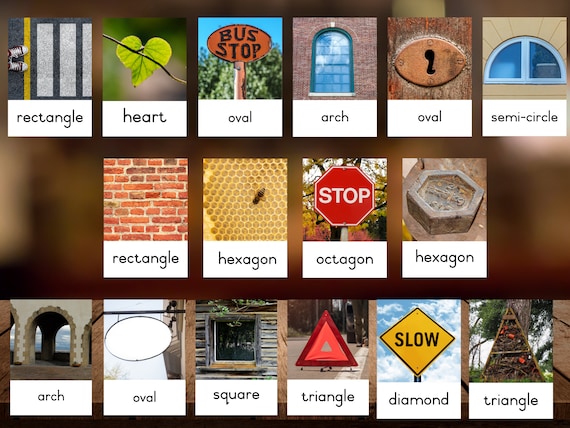 Octagon Shapes In Nature