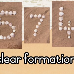 Beach Number Cards Sand Shells Seaside 0-10 Numbers Printable EYFS ...