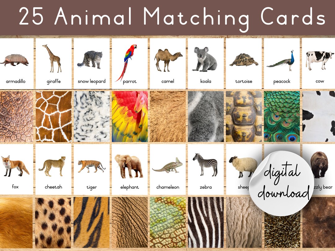 Animal Matching Cards Animal Games Match the Animals Zoo - Etsy